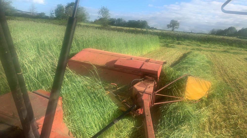 Taarup 307 auto swather - KG Kingston